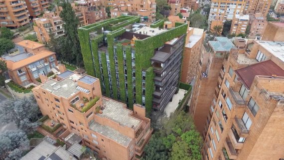 Jardín vertical: la unión perfecta entre vegetación y arquitectura
